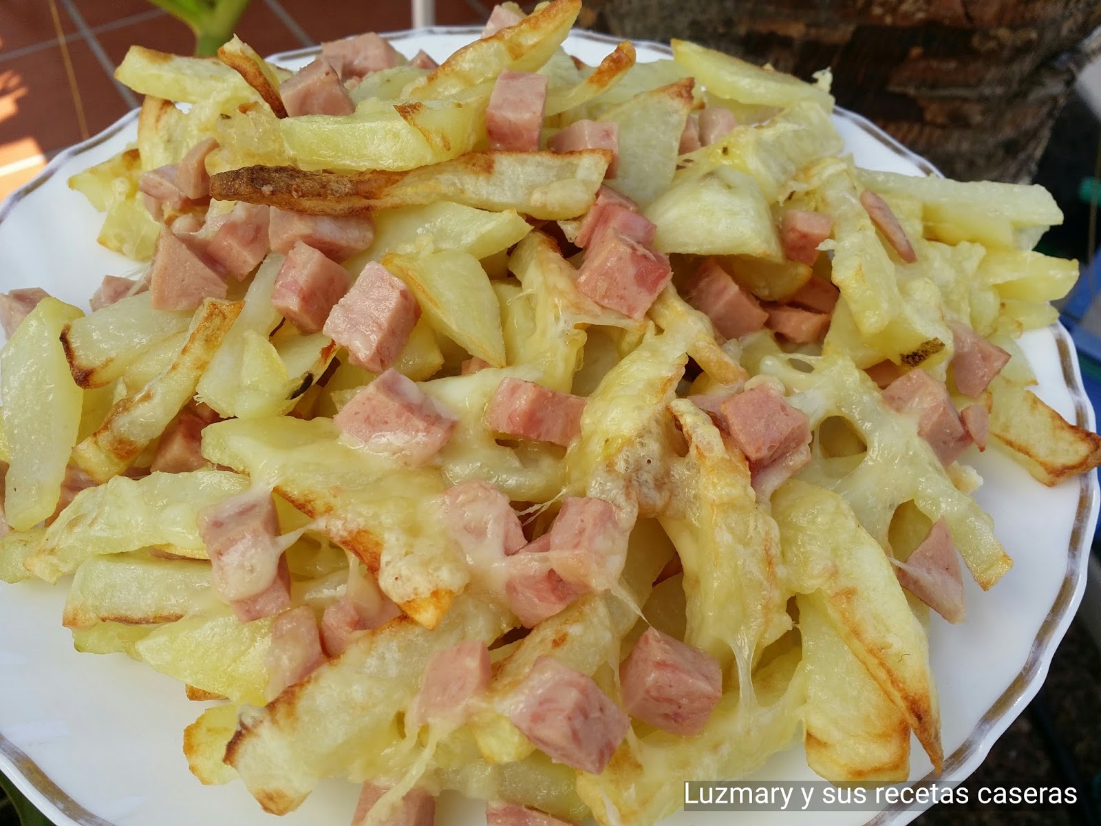 Luzmary y sus recetas caseras: PAPAS FRITAS CON JAMÓN DE PAVO Y QUESO ...