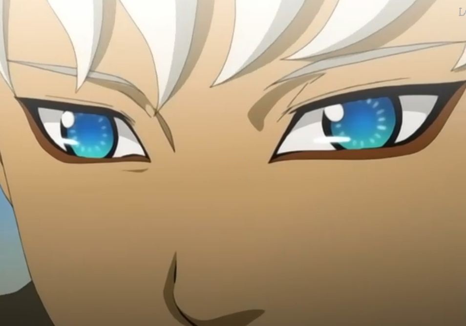 criticas y estadísticas dd: que es el amil gaoul