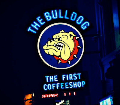Por que viajamos?: The BullDog em Amsterdã