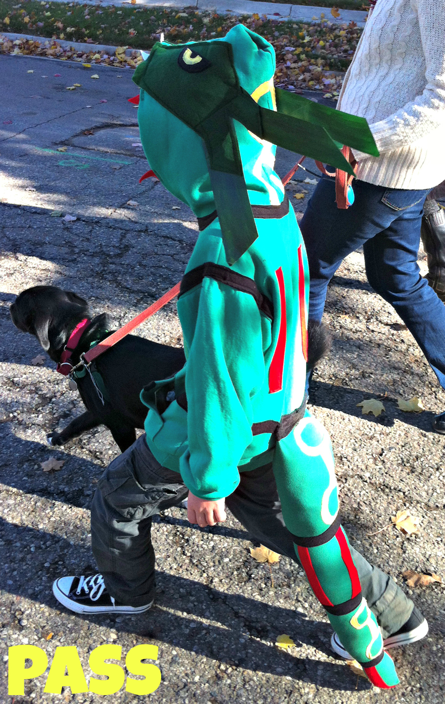 Rayquaza Cosplay