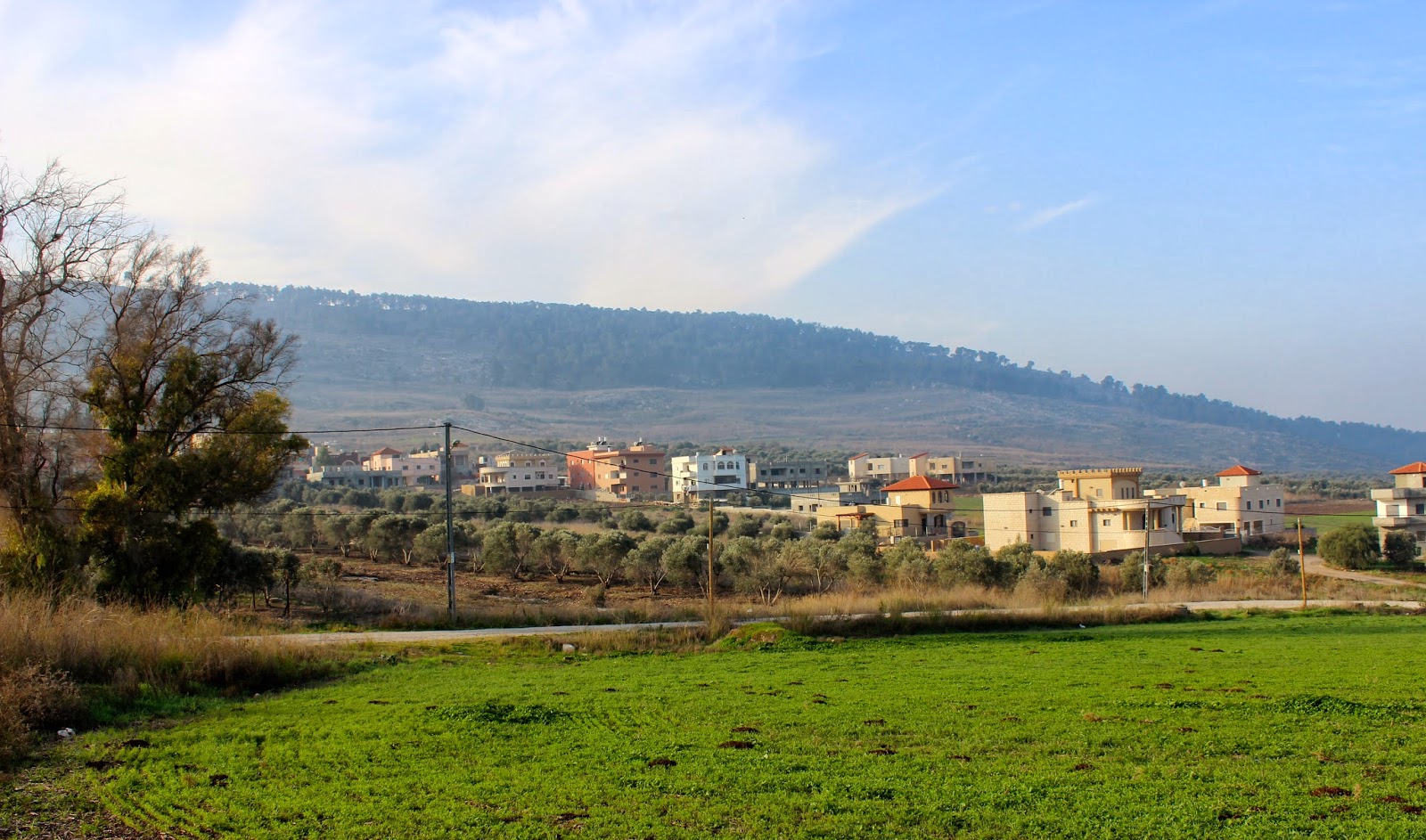 Vintage Grace: The Village Of Nein