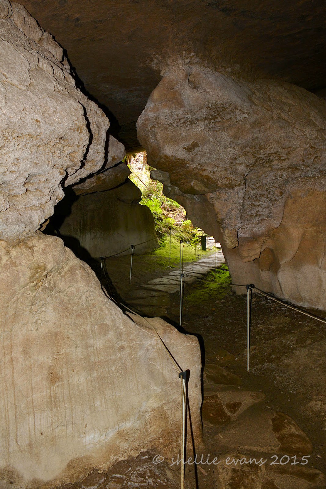 Two Go Tiki Touring: Crazy Paving & Box Canyon Caves- Oparara Basin