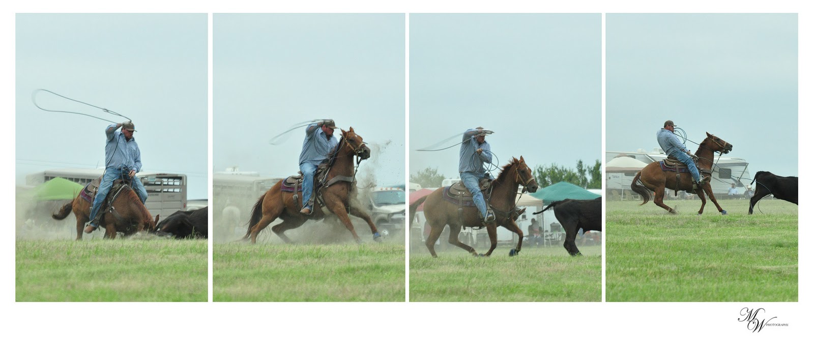 Missy Whitfield: Pasture Roping 101