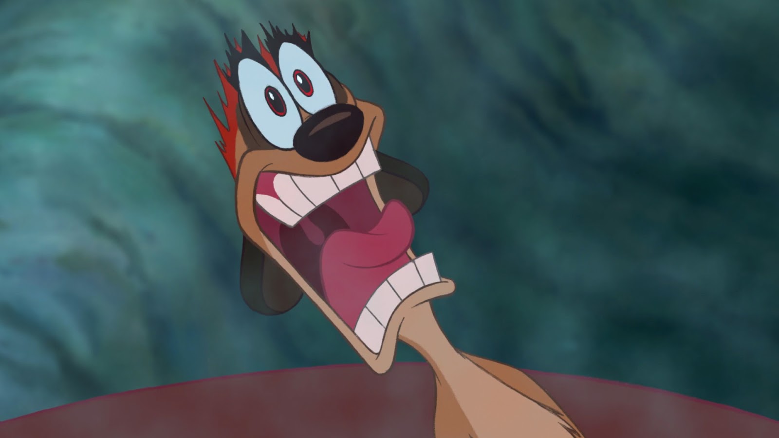 Erin's Blog: Timon screamed