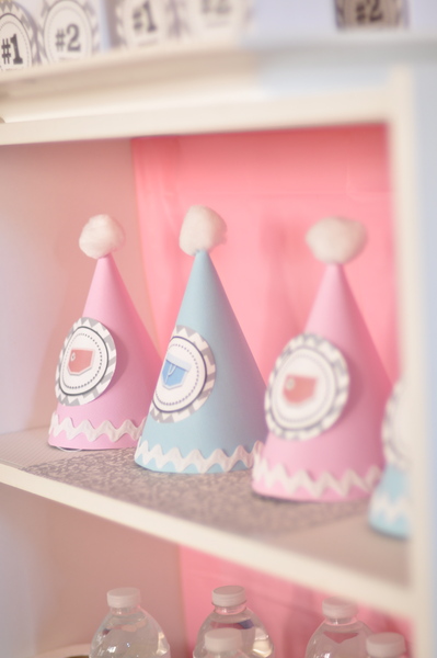 Kara's Party Ideas Potty Training Party! | Kara's Party Ideas