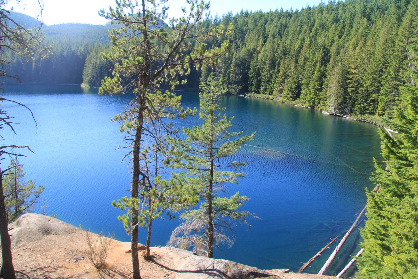 Sailing Sarita: Octopus Islands