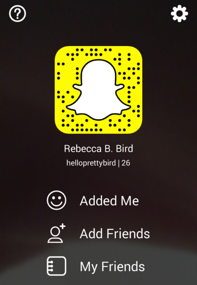 So it finally happened: I made a Snapchat account. | Hello Pretty Bird ...