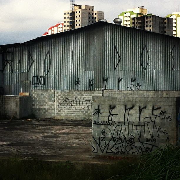 Pixação e Graffiti de São Paulo: Pixação - IBOPS