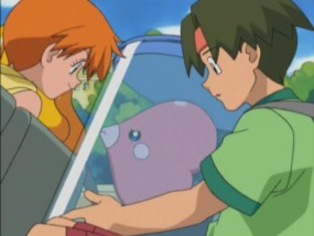 Parejascity love: misty y tracey pareja de pokemon Orangeshipping
