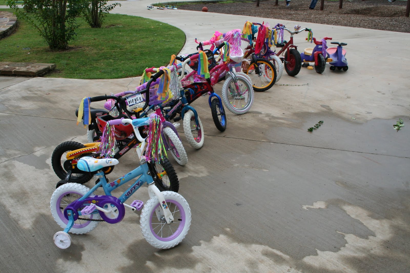 A Little Rooney Doodle