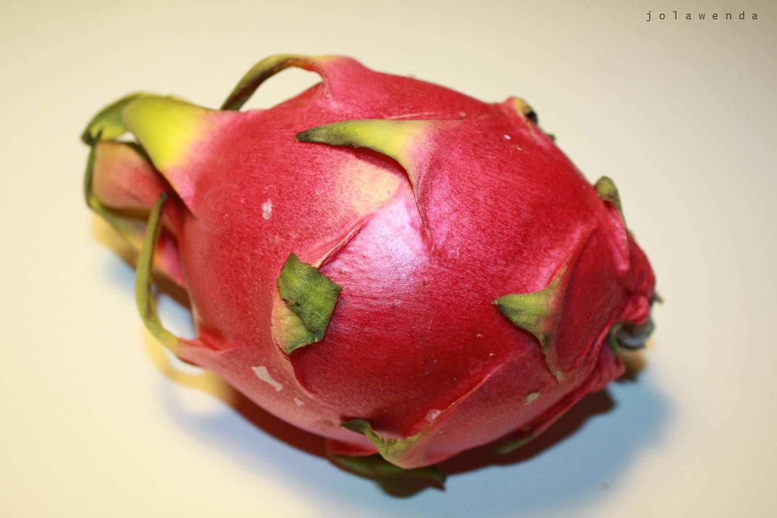 My Own Excuse: Dziwne Owoce