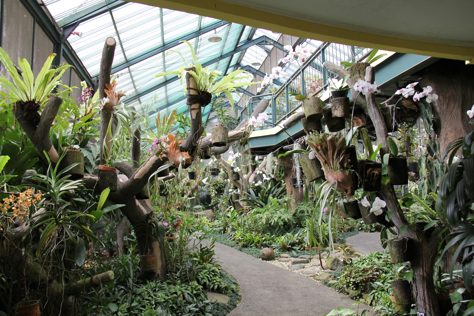 Postkort fra Terje og Anne: Botanisk hage
