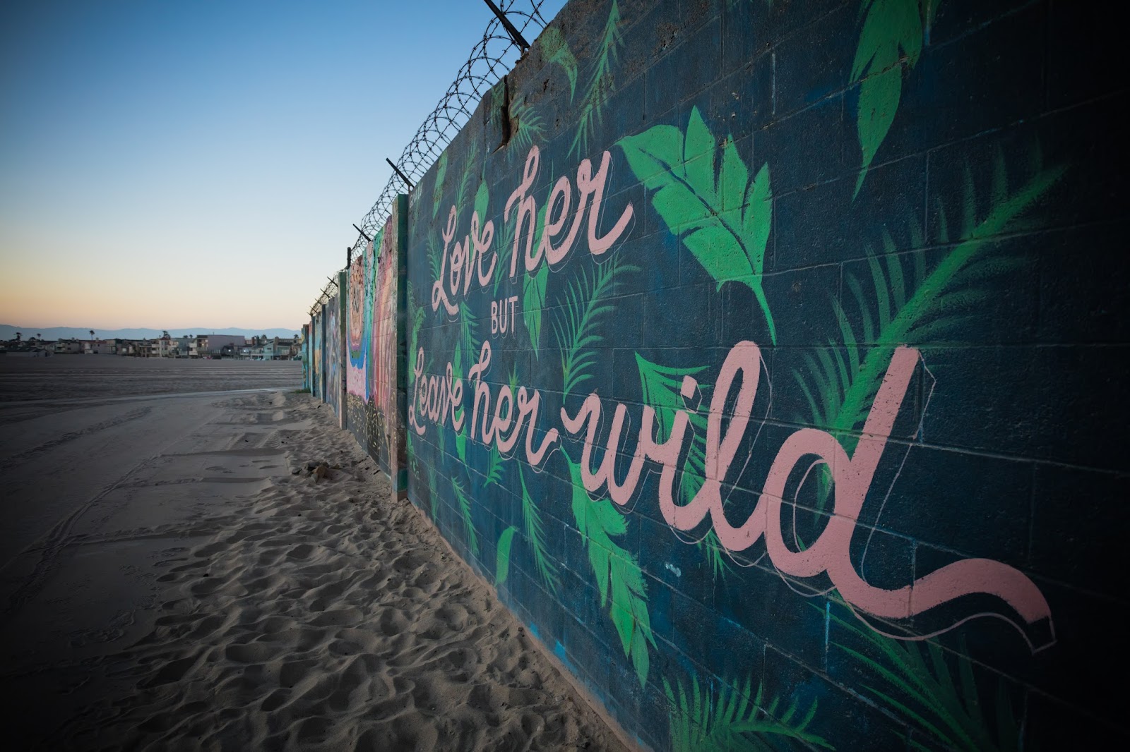 Seth William Page Photo: The Graffiti of Silver Strand