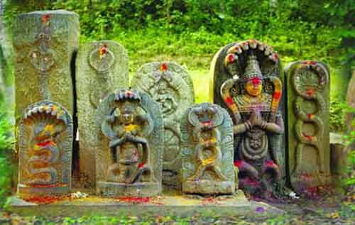 Famous Snake Temples in India | Hindu Blog