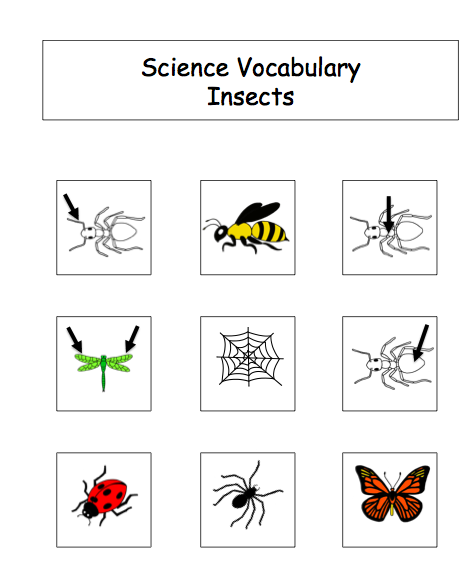 Autism Tank: Science Preview: Insects