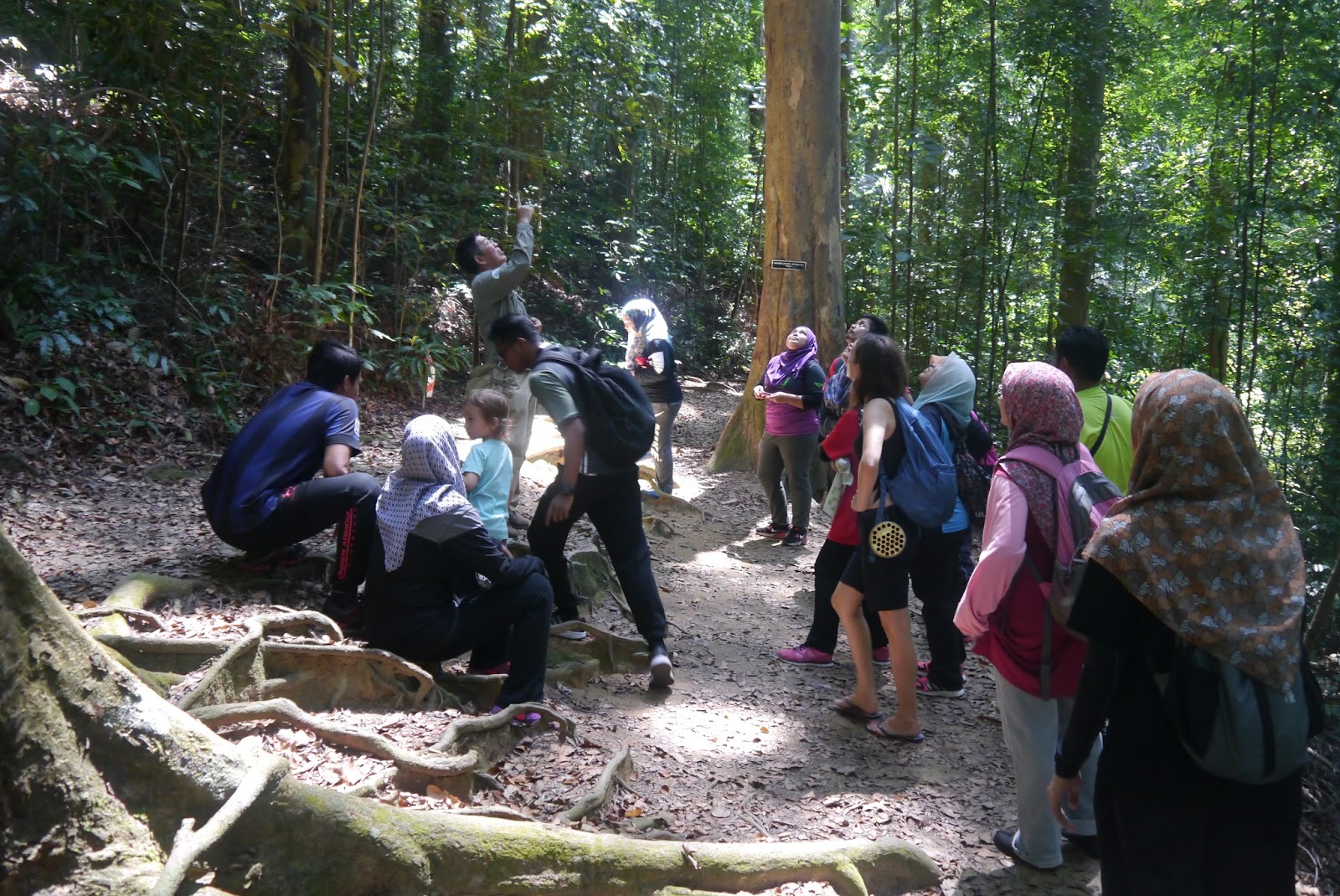 Real Life Is Real: Kisah Benar berCanopy Walk di HUTAN FRIM