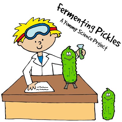 Fermenting Pickles, A Yummy Science Project - The (mis)Adventures of a ...