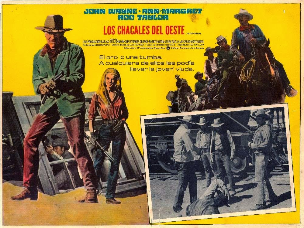The Train Robbers (1973)