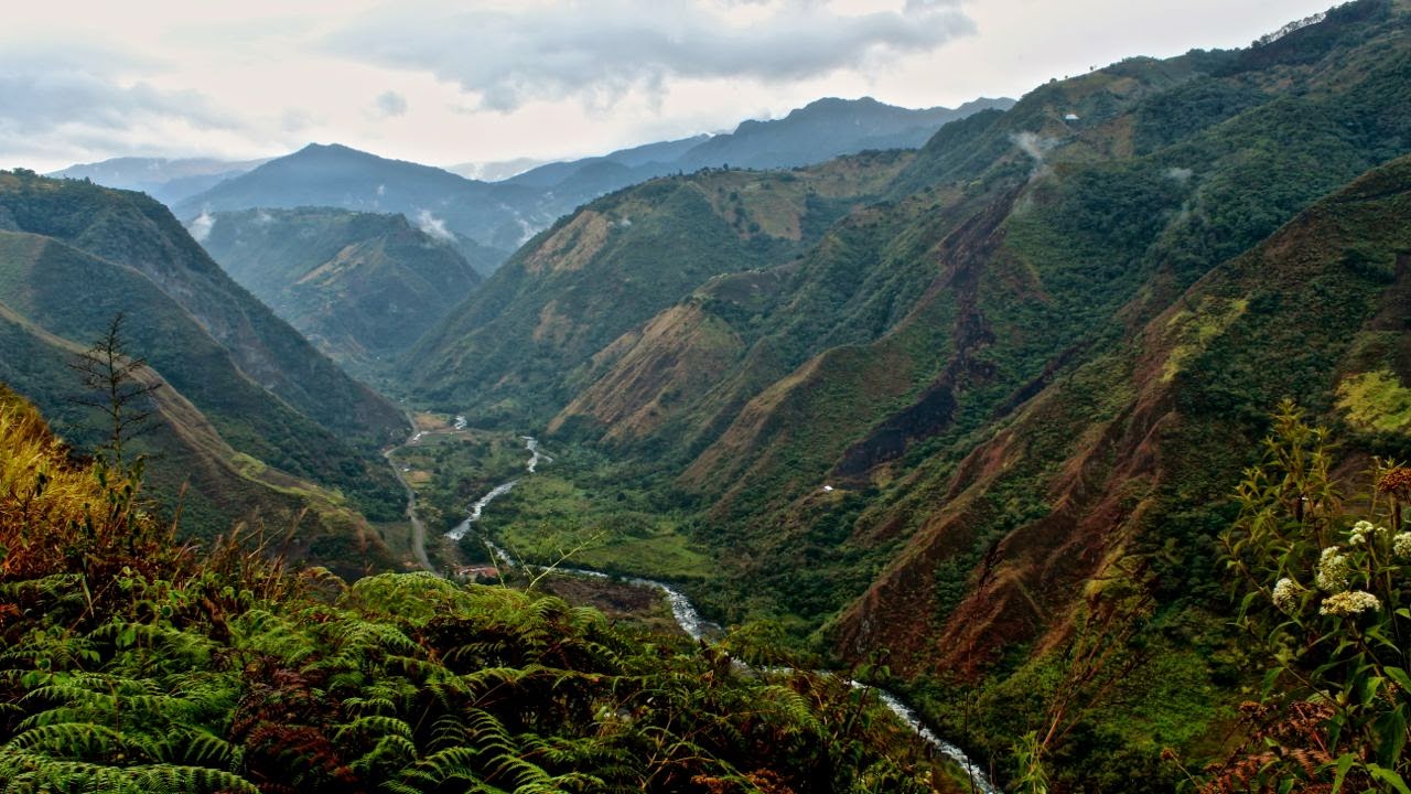 COORDINADORA ECUATORIANA DE AGROECOLOGIA: Intag organiza asistencia al ...