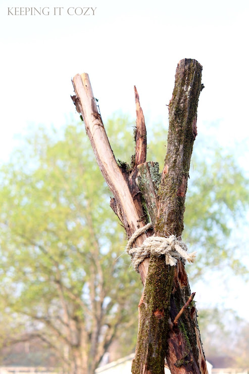 Keeping It Cozy: Cedar Poles in the Garden