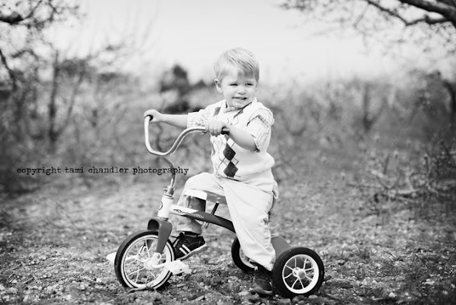 Tami Chandler Photography: two year-old towhead {mine}