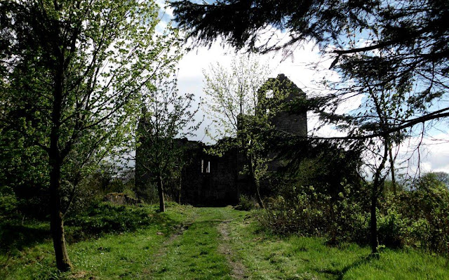 My Daily Walk: Torwood Castle, Larbert