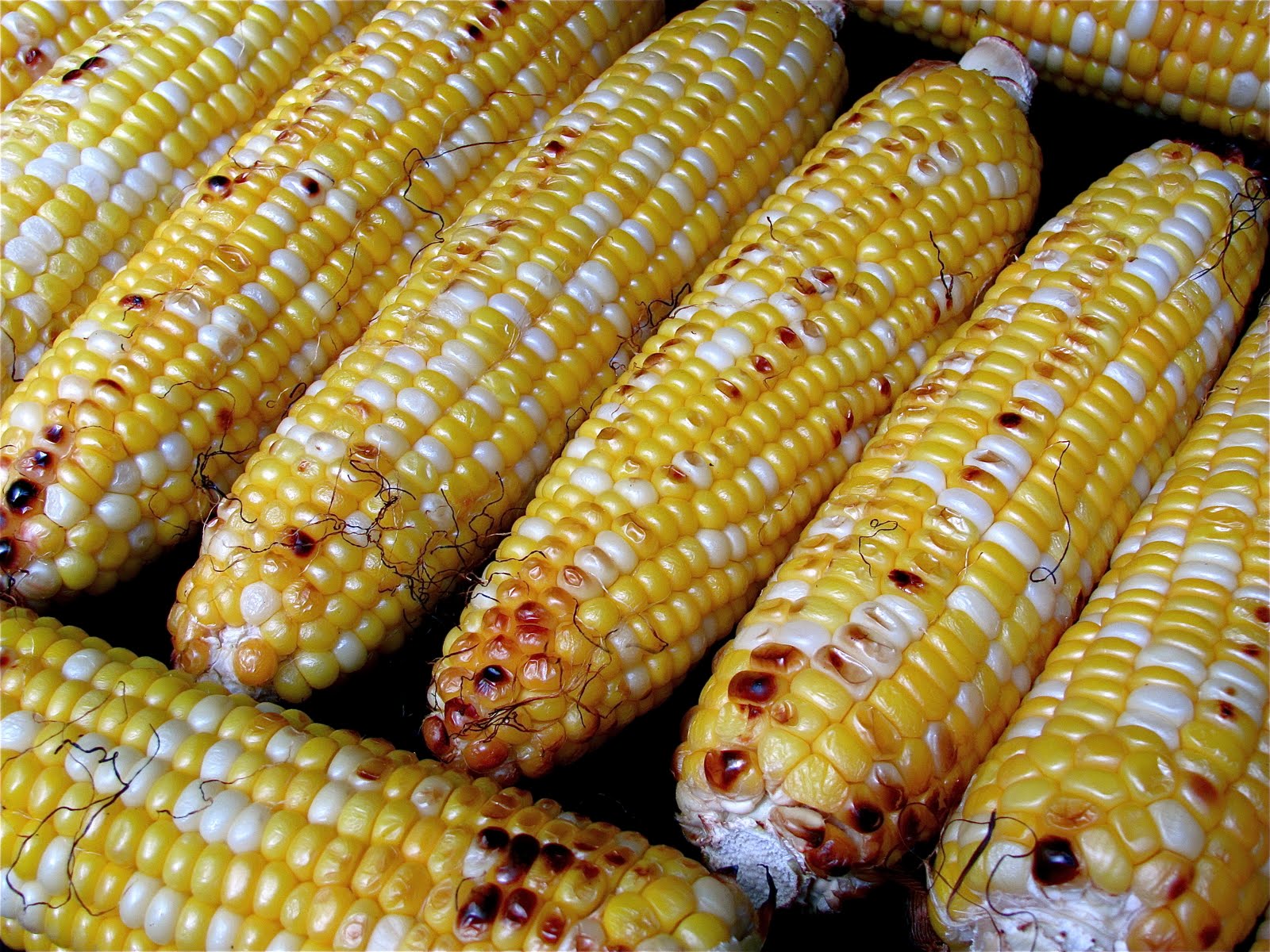 Mister Meatball: Roasted corn polenta