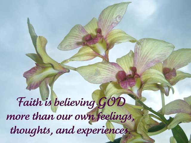 Flowery Blessing: Faith is believing GOD more than our own feelings ...