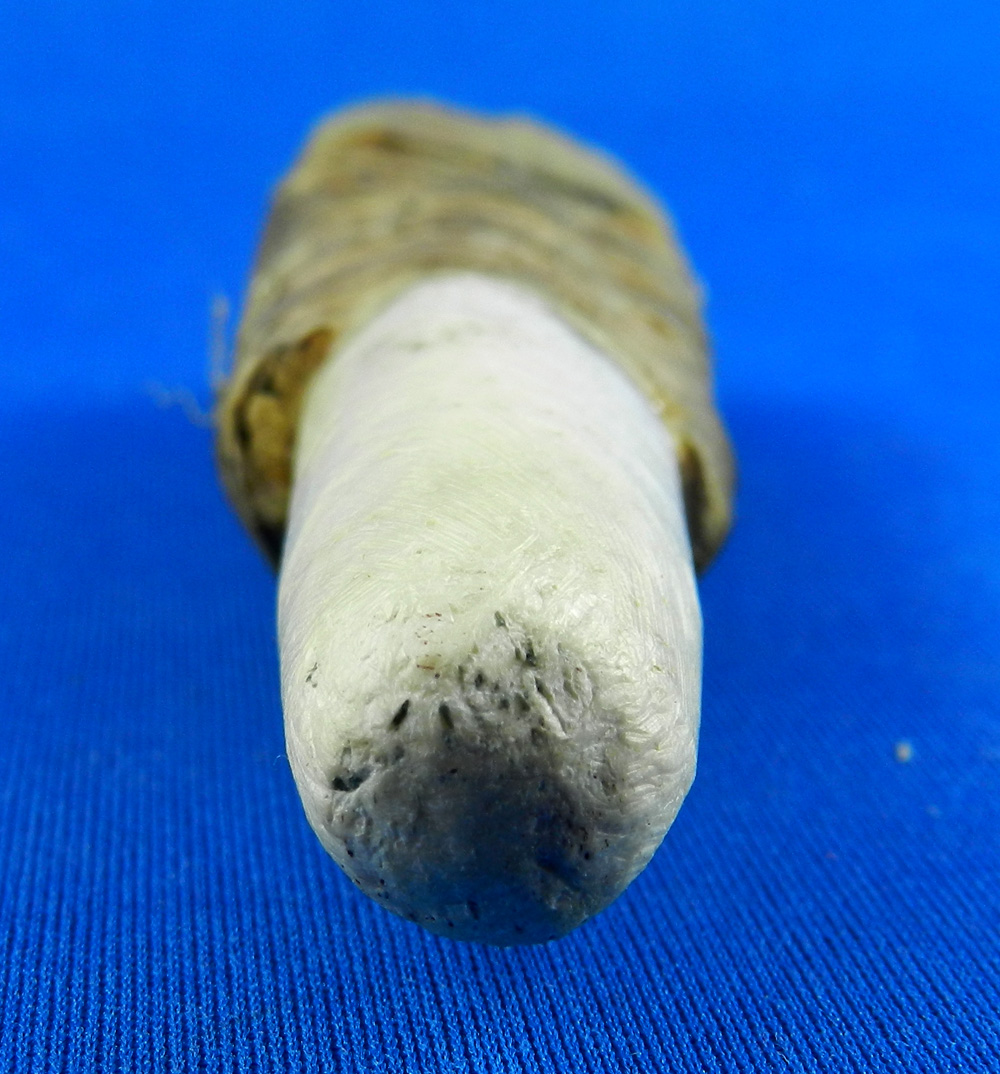 Elfshot: Palaeoeskimo Pressure Flaker First Impressions