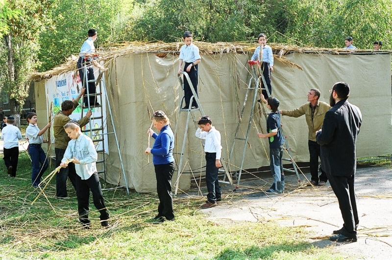 Sukkah building open thread ~ Elder Of Ziyon - Israel News