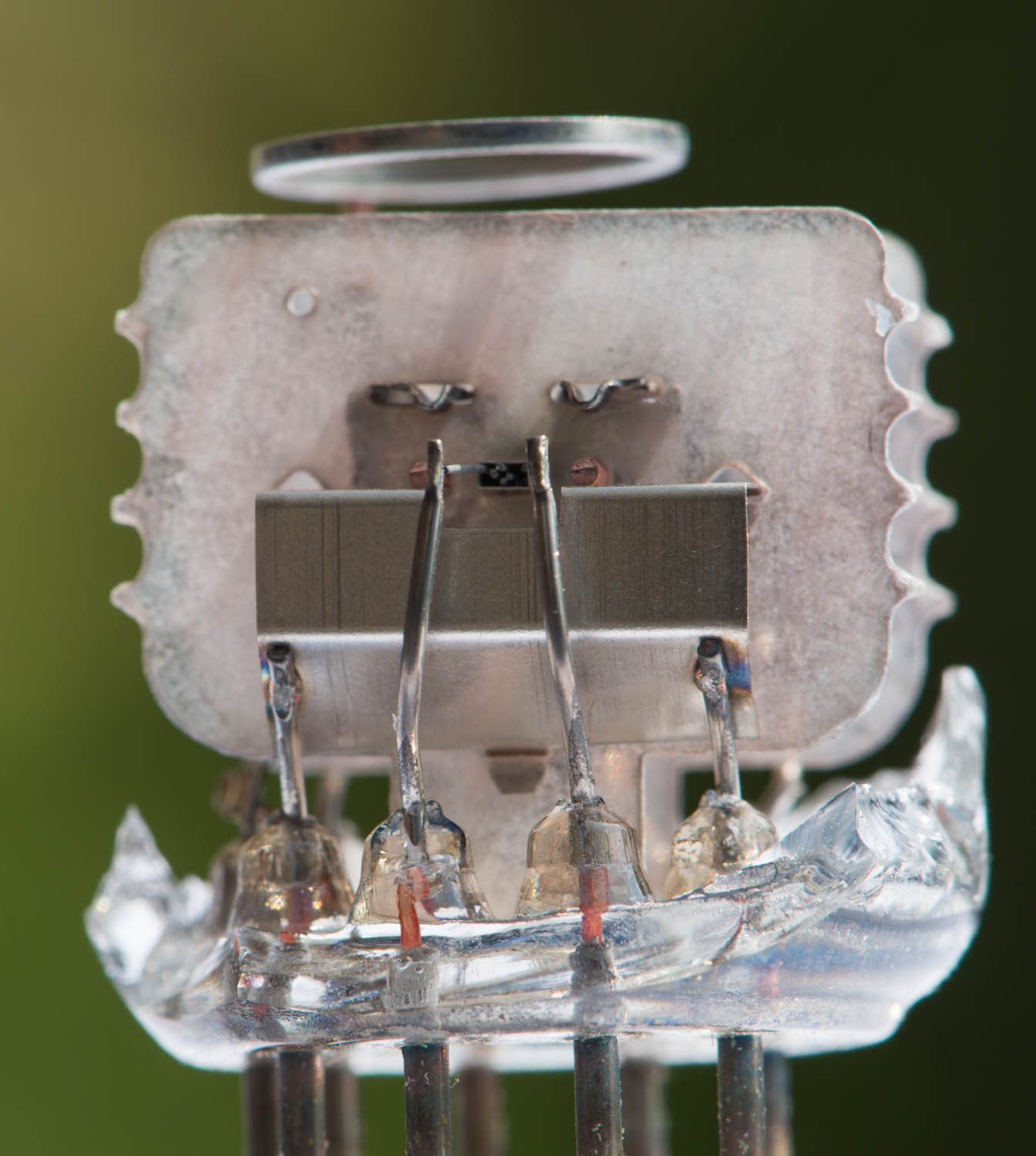 VinylSavor: Tube of the Month : The 6AM4