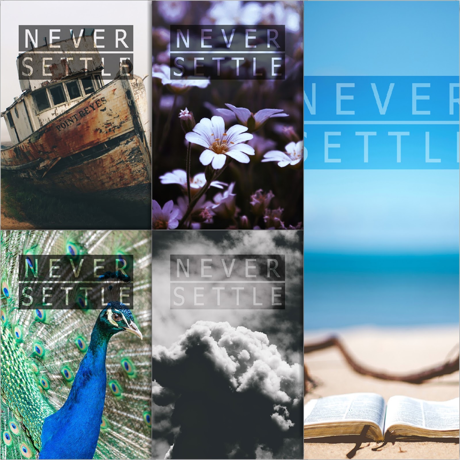 Never Settle Wallpaper Pack 8 (10 Wallpapers) - OnePlus Never Settle ...