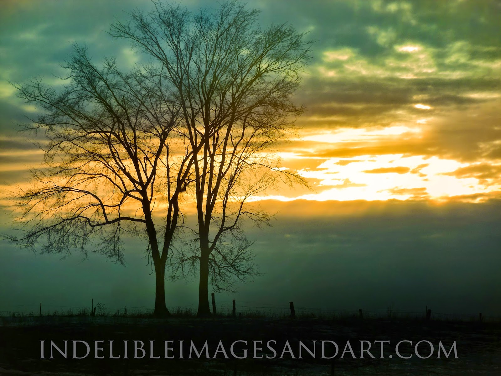 Indelible Images & Art ~ Indelible Insights: 2015