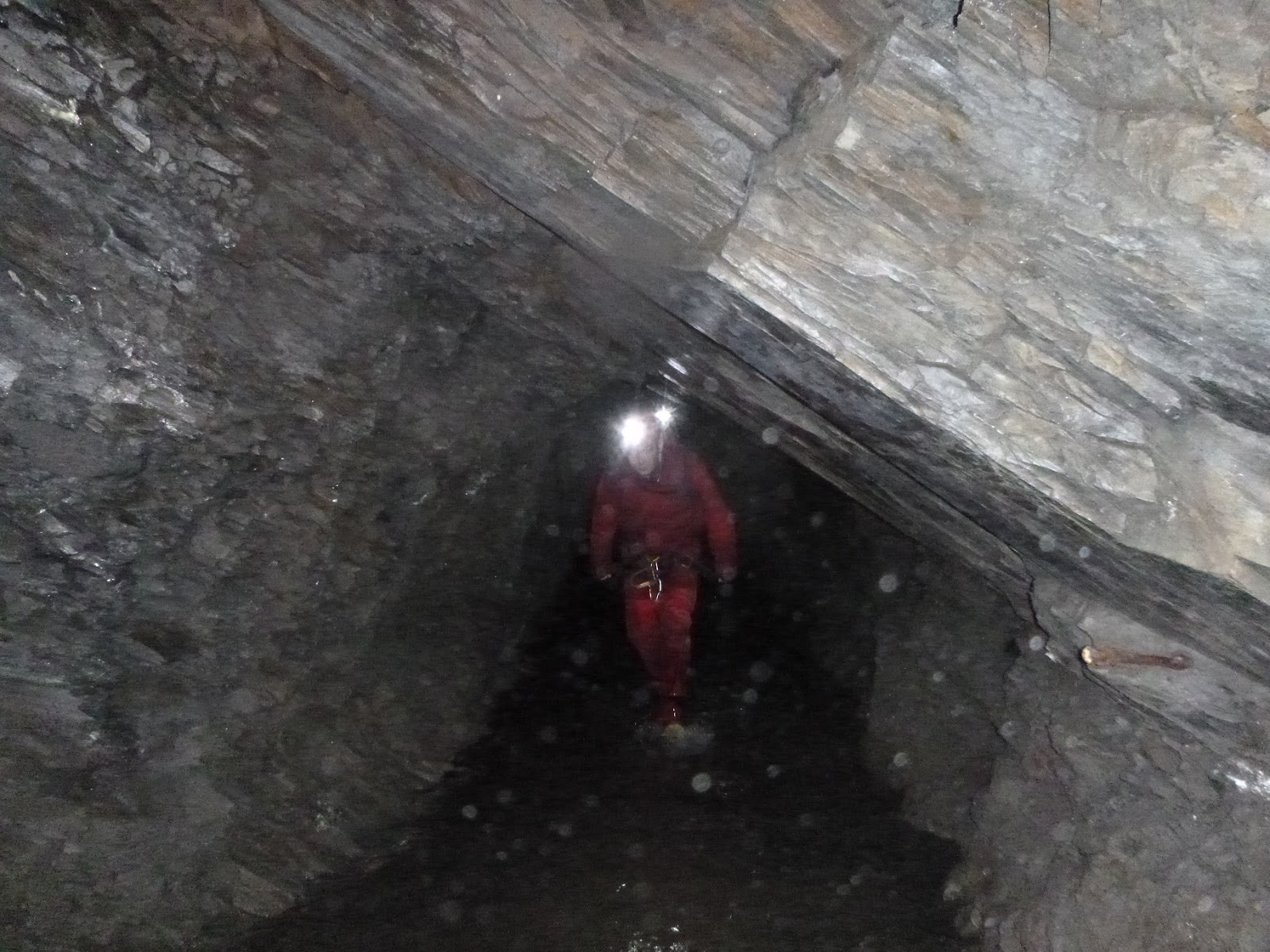 Blue Peris Outdoor Education Centre: November 2015