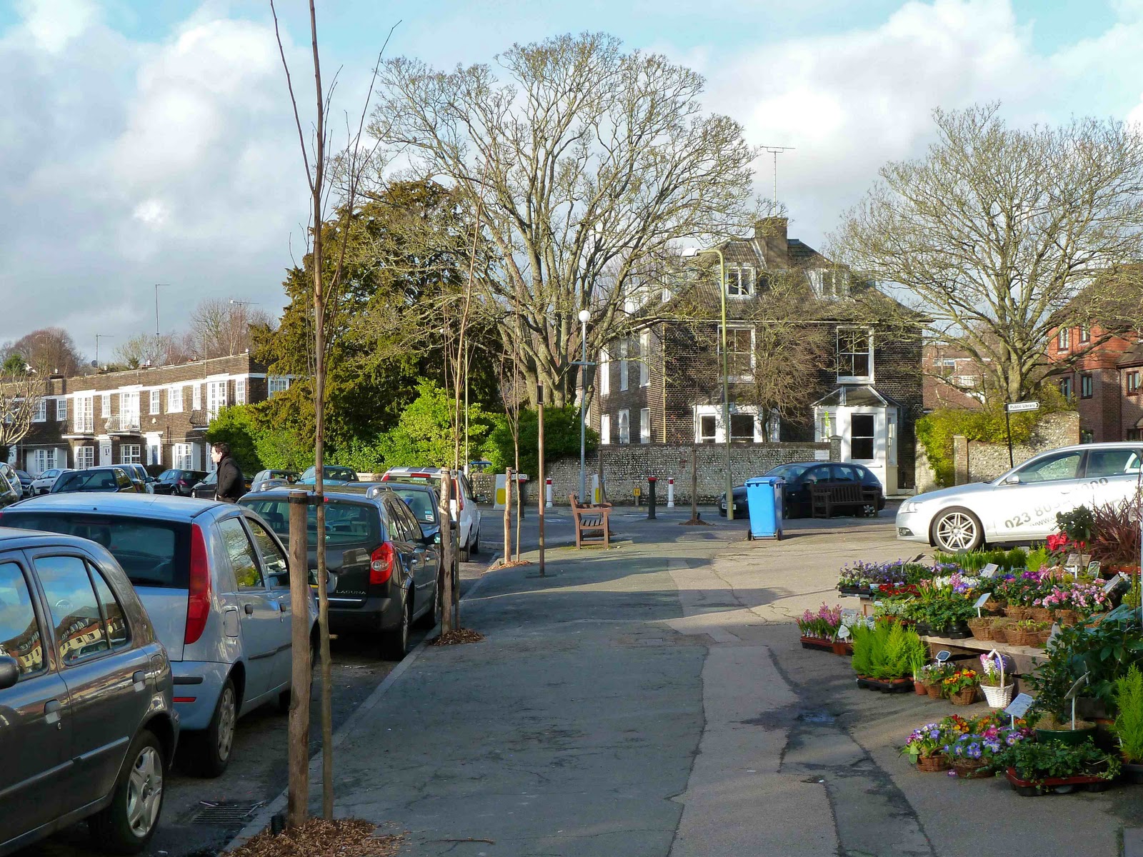 #Brighton Bits: Patcham gets new elms