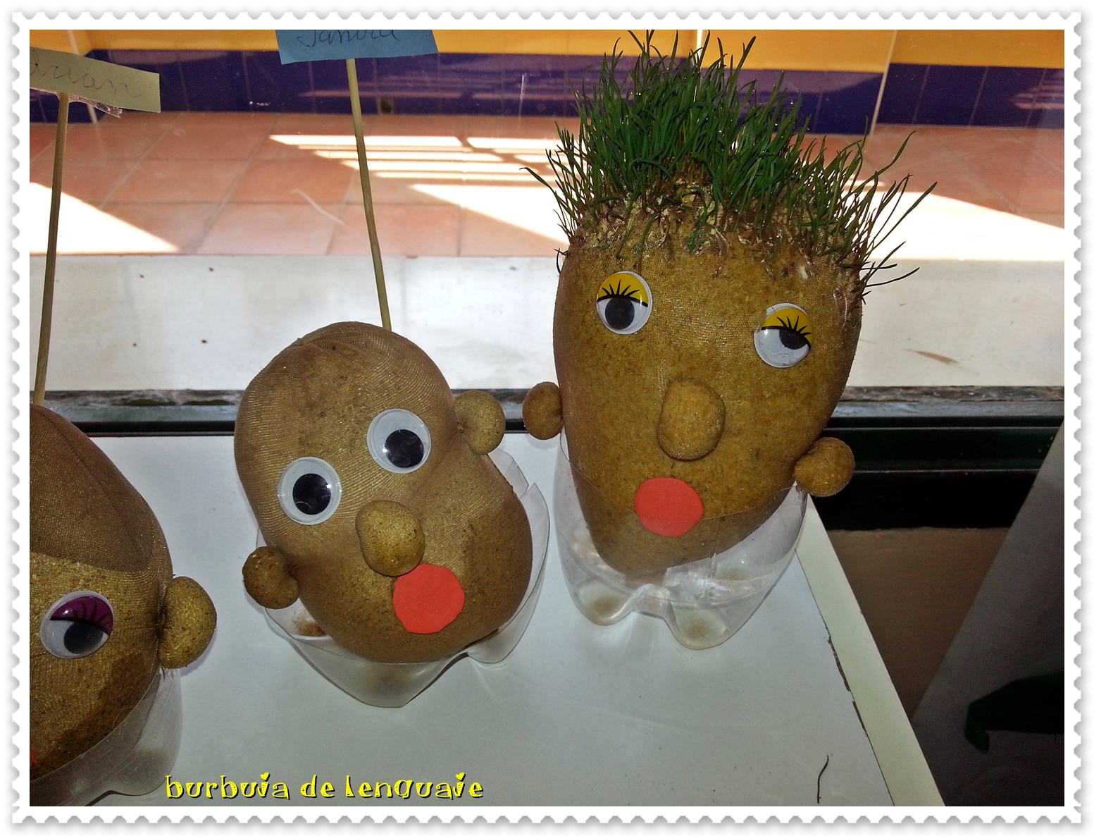 Burbuja de Lenguaje: Semillero Sr. Patata