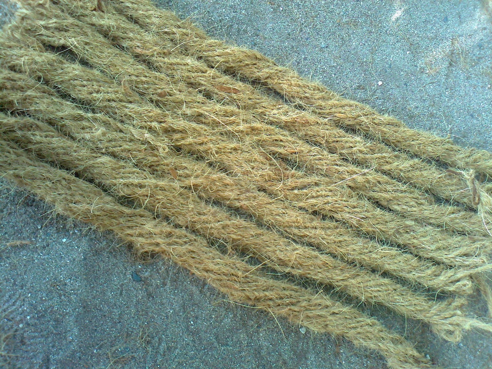 COIR TWINE