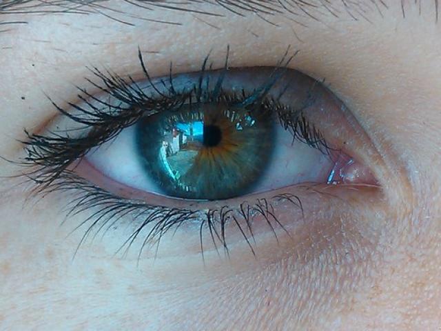 Imagen Plano Detalle