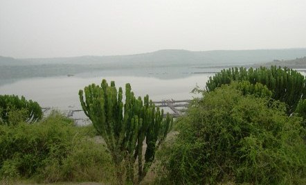 Celebrate What's Right with Public Higher Education: SAVING LAKE KATWE