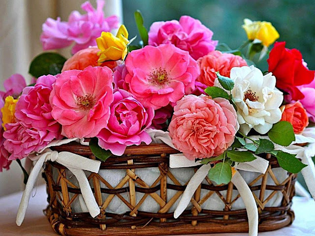 Mon jardin fleuri: Quelques beaux bouquets