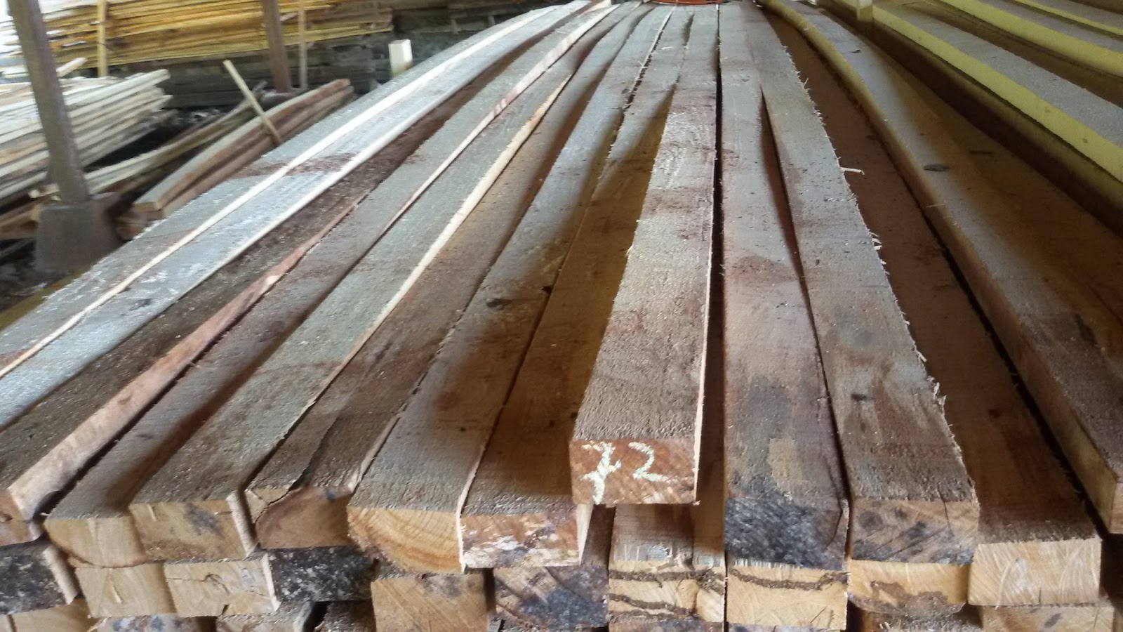 Mengenal Jenis Dan Ukuran Balok Kayu Secara Lengkap Program Studi | My ...