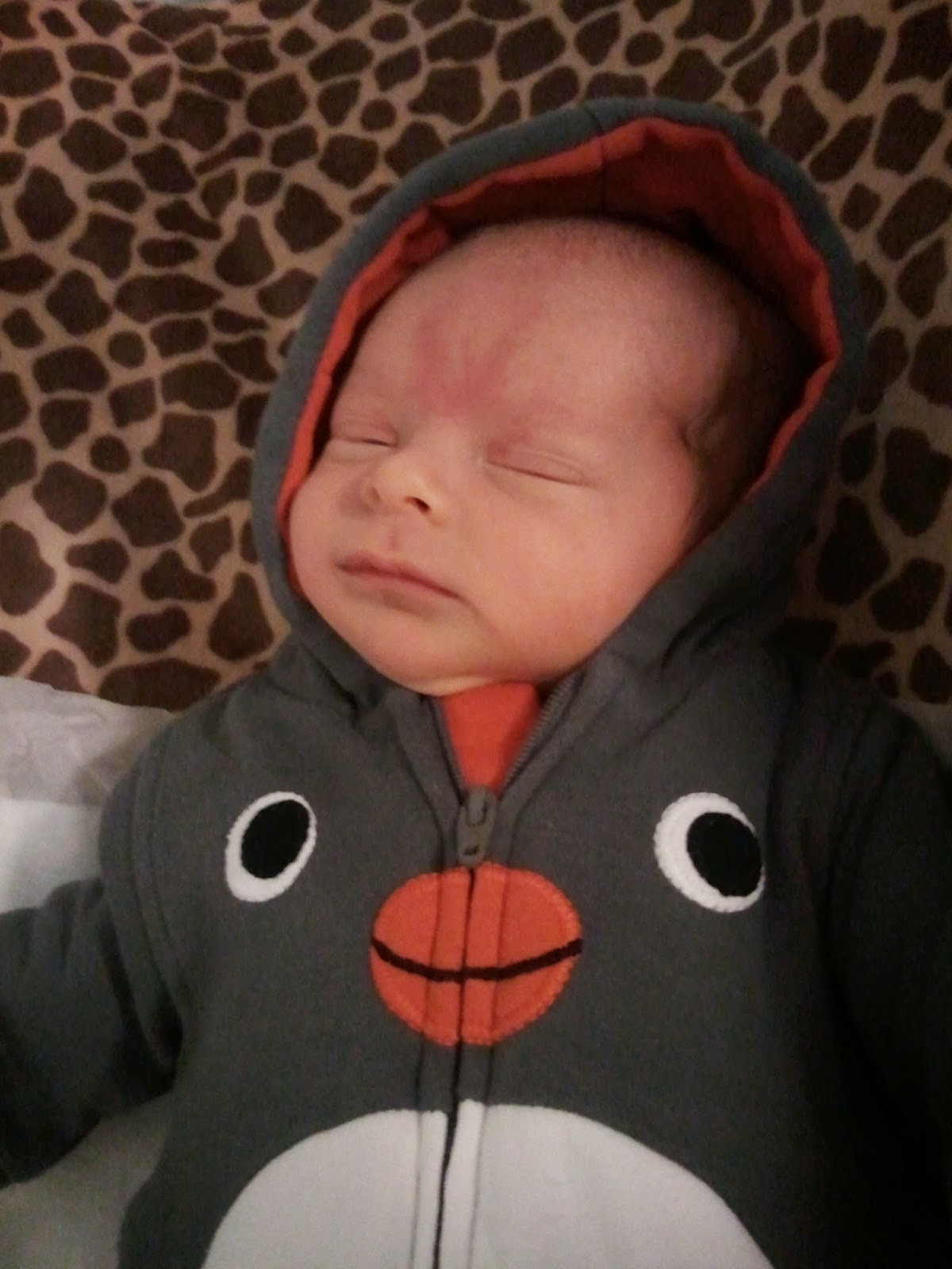 Psych DBT: How DBT Helped in Labor (TW)