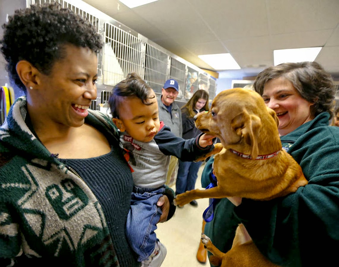 Funeral Fund Blog: Puppy being trained to comfort kids with hydrocephalus.