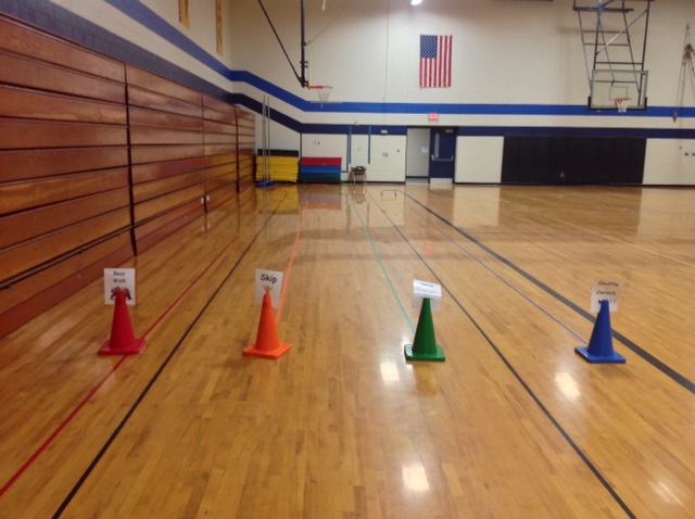 Carly's PE Games: Thankful for my school and SHAPE Michigan!