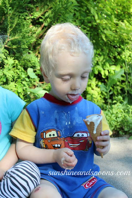 Sunshine and Spoons: That Time I Let My Kids Have Dessert First - Kemps ...