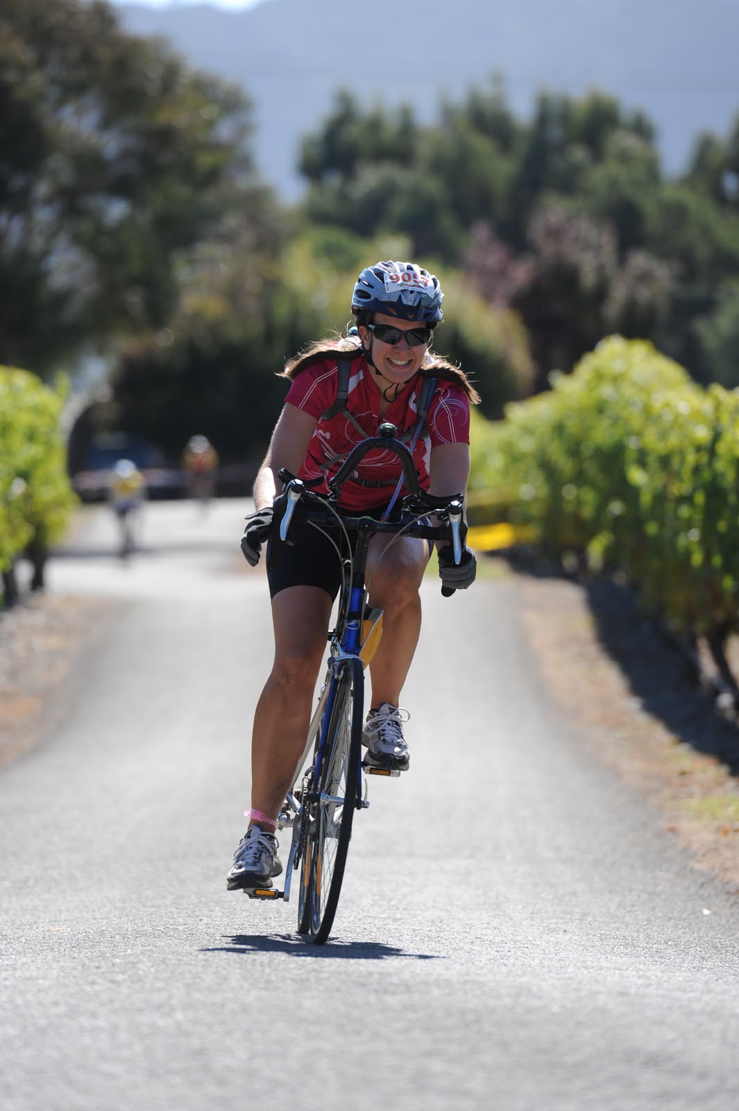 NewZeaLinz: Big Bike Rides and Pretty Bays