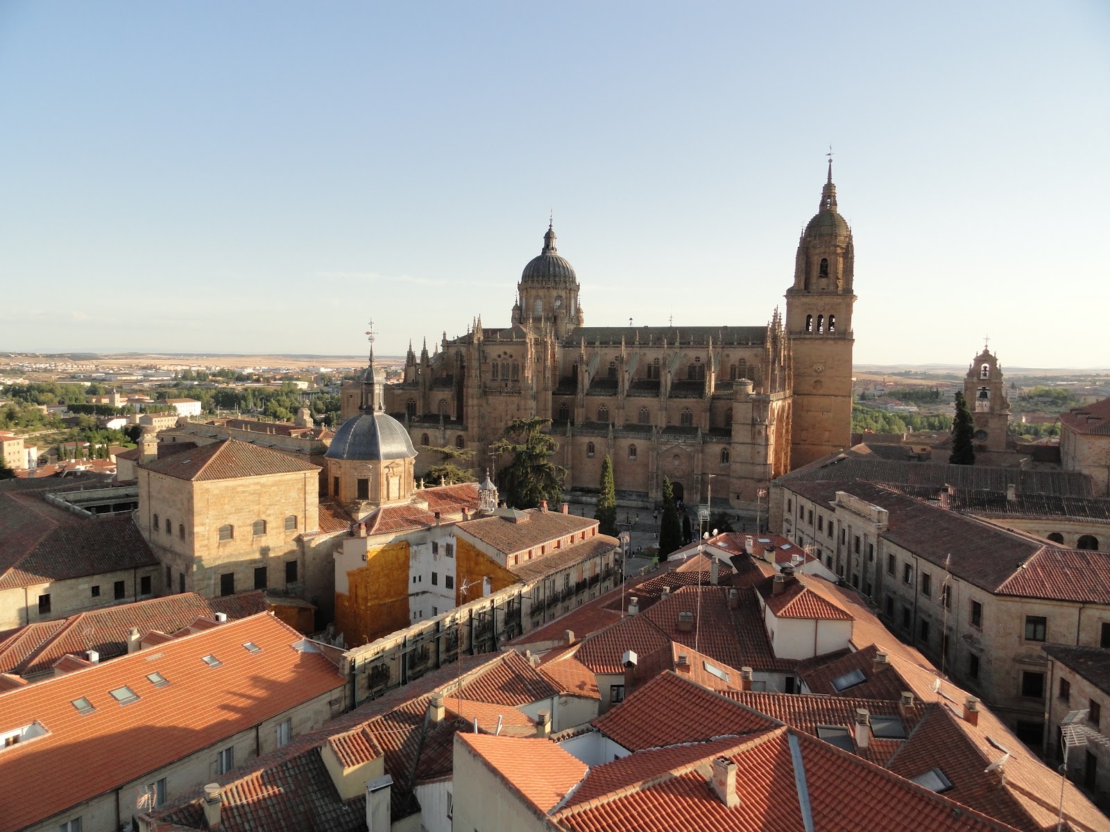Guias de turismo de Salamanca: SCALA COELI. VISITA DE LAS TORRES DE LA ...