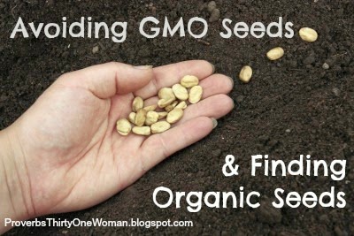 Avoiding GMO Seeds & Finding Organic Seeds - Proverbs 31 Homestead