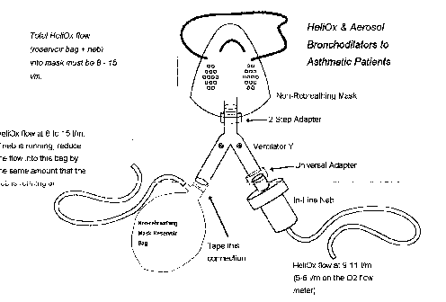 ABOUT THE WORLD: HISTORY OF DIVE