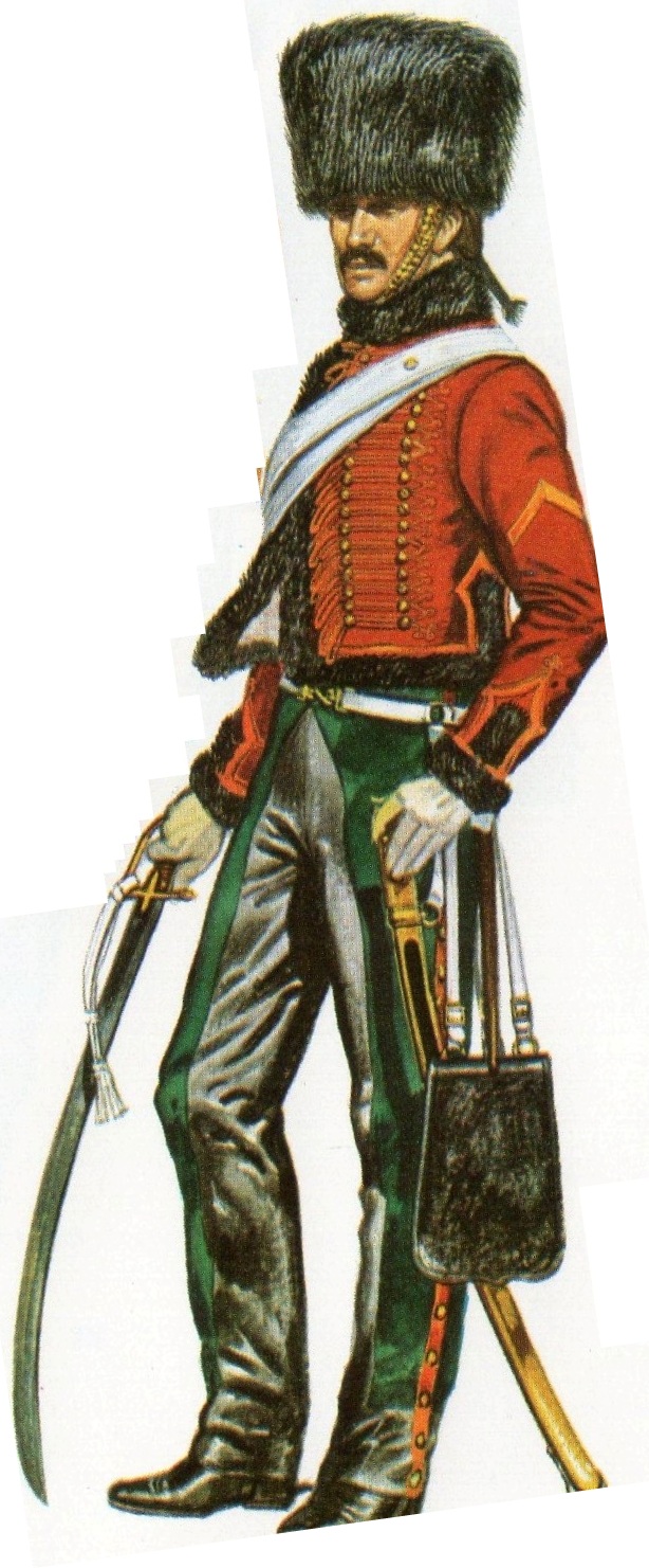 la biblioteca militare: La Guerra Peninsulare 1808 - 1814 nelle tavole ...